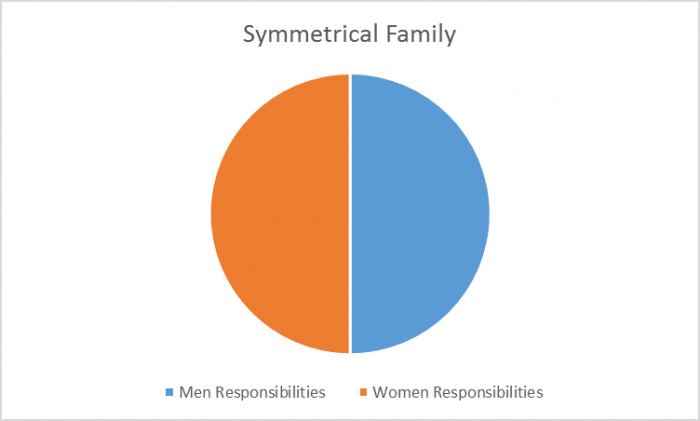 Essay on Different Family Roles in Young and Old Families | Ivory Research