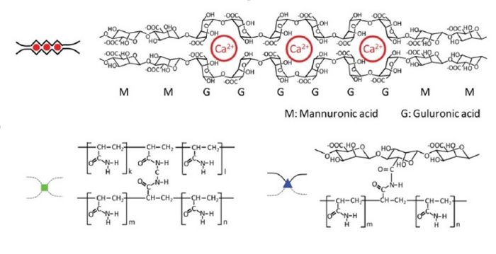 Synthesis, properties and applications of highly stretchable hydrogels ...